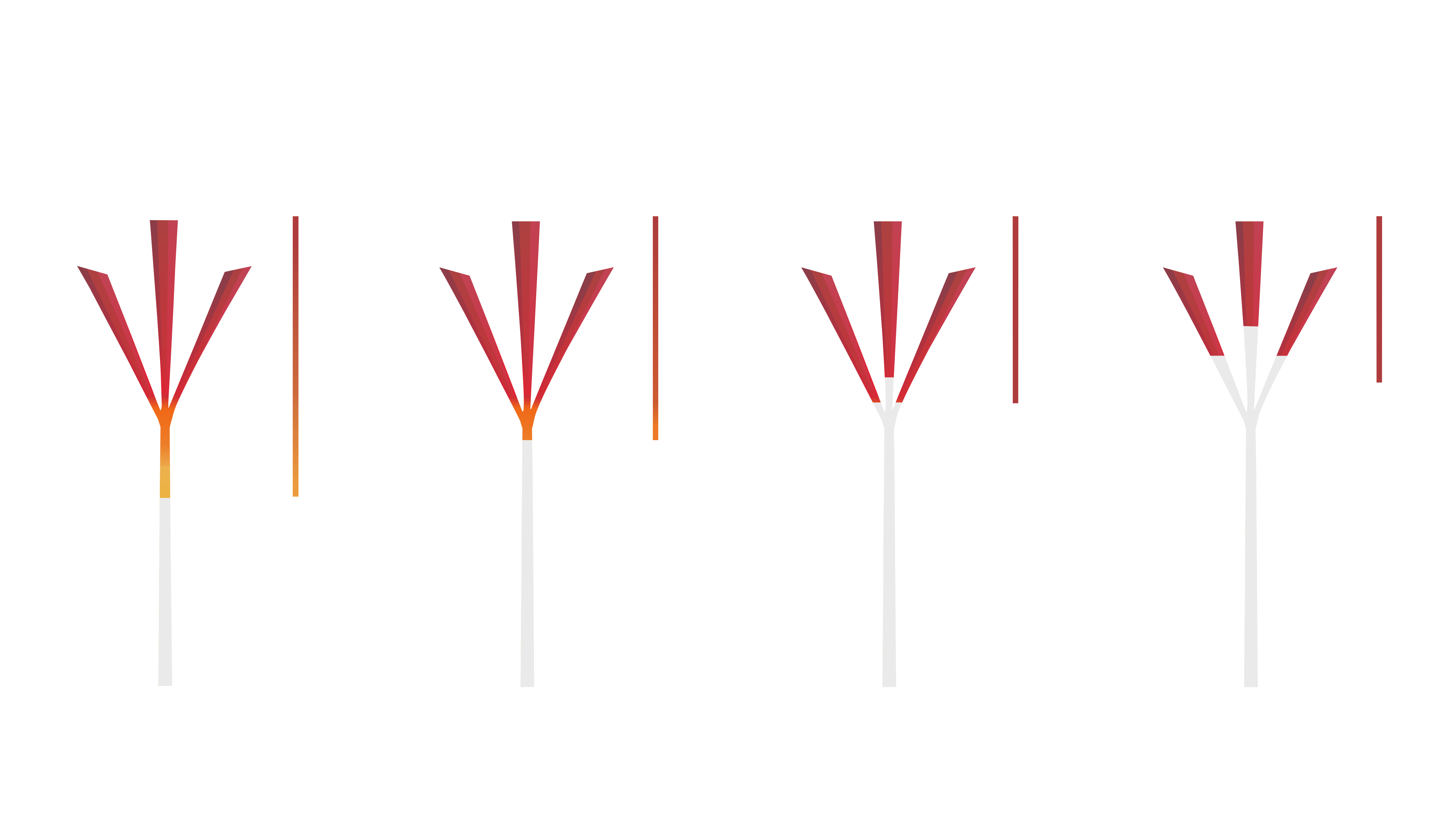 Types of Saffron | Persian Saffron explained – Zaran Saffron